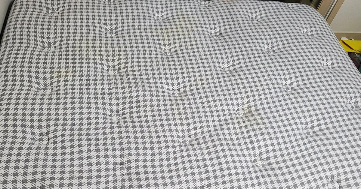오줌 얼룩 제거 비치움 북수원점 숨고 숨은고수