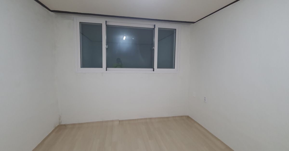 반지하 도배 장판 김지민 숨고 숨은고수