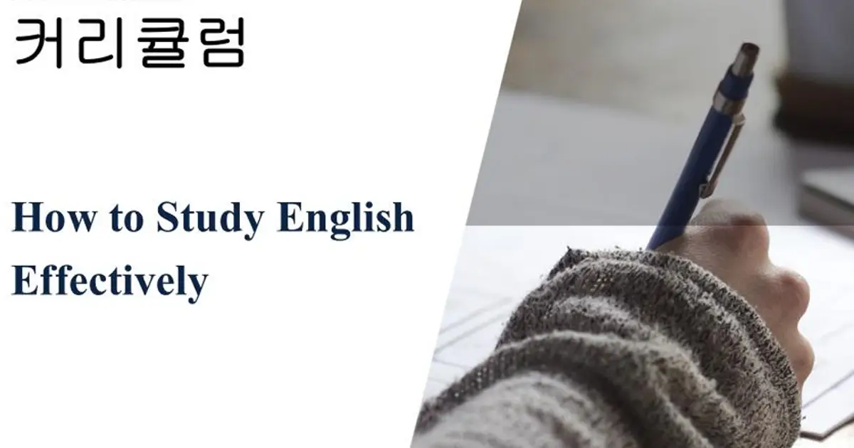 영포자의 워킹홀리데이 도전기 기초부터 고급까지 영어pt전문 케빈쌤황대성 숨고 숨은고수