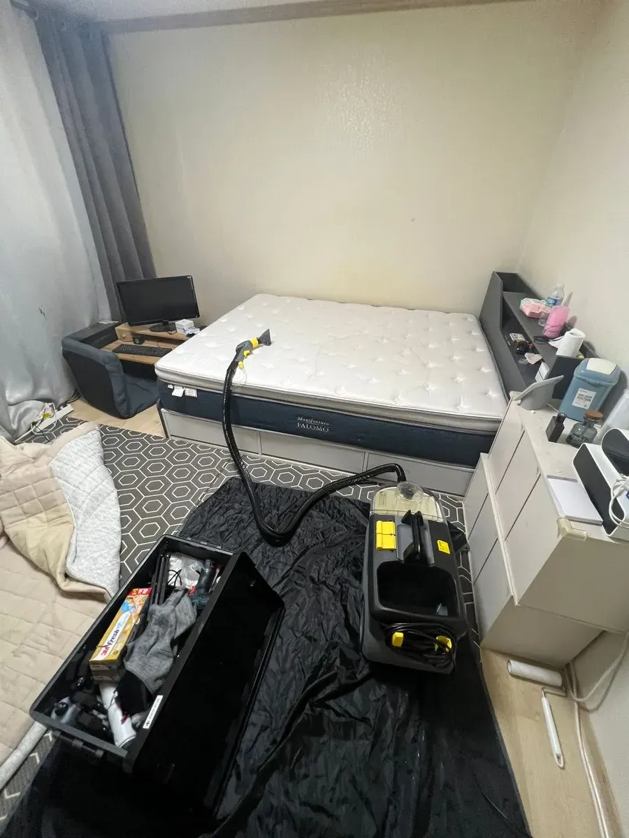 침대 얼룩제거 전문업체에 문의하세요 박태우 숨고 숨은고수