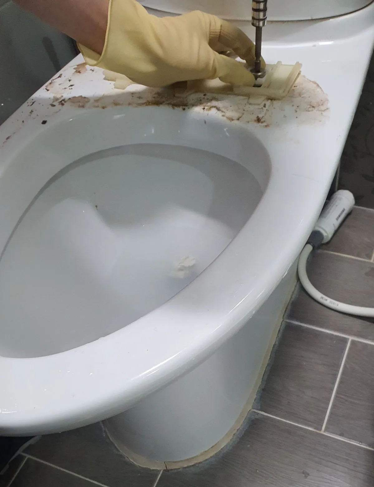 비데청소 초록숲홈케어 달서점 숨고 숨은고수