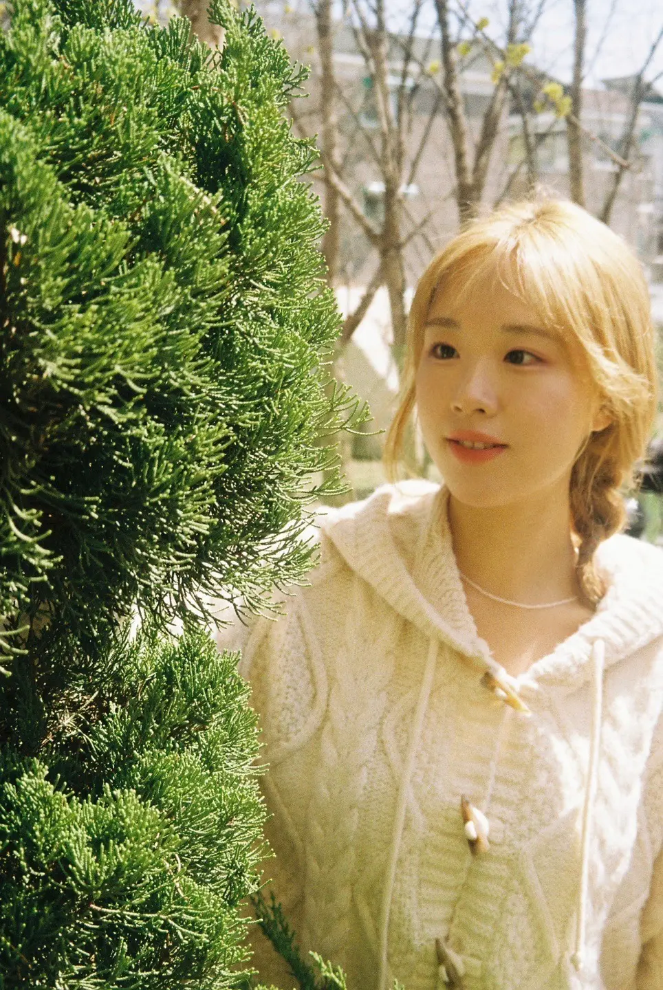 필름 사진 박찬진 숨고 숨은고수