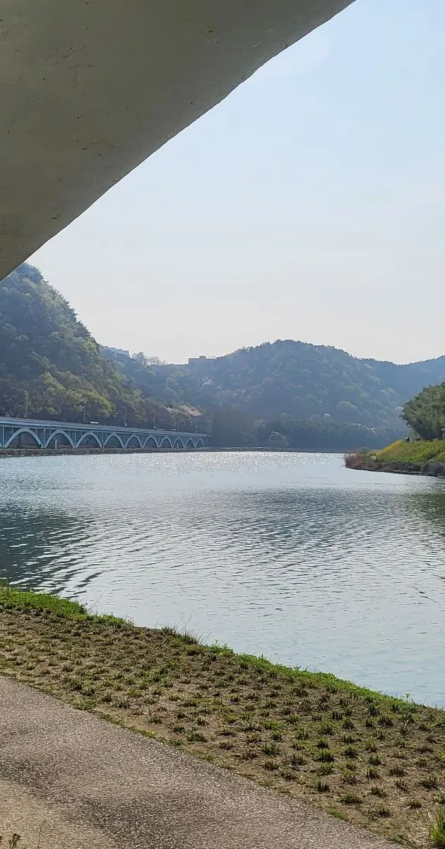 ㅇ 배o연 숨고 숨은고수