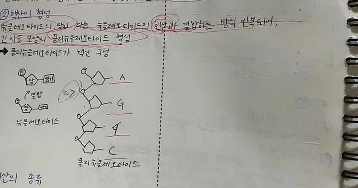 과학 비대면 수업 학생필기 다현 숨고 숨은고수