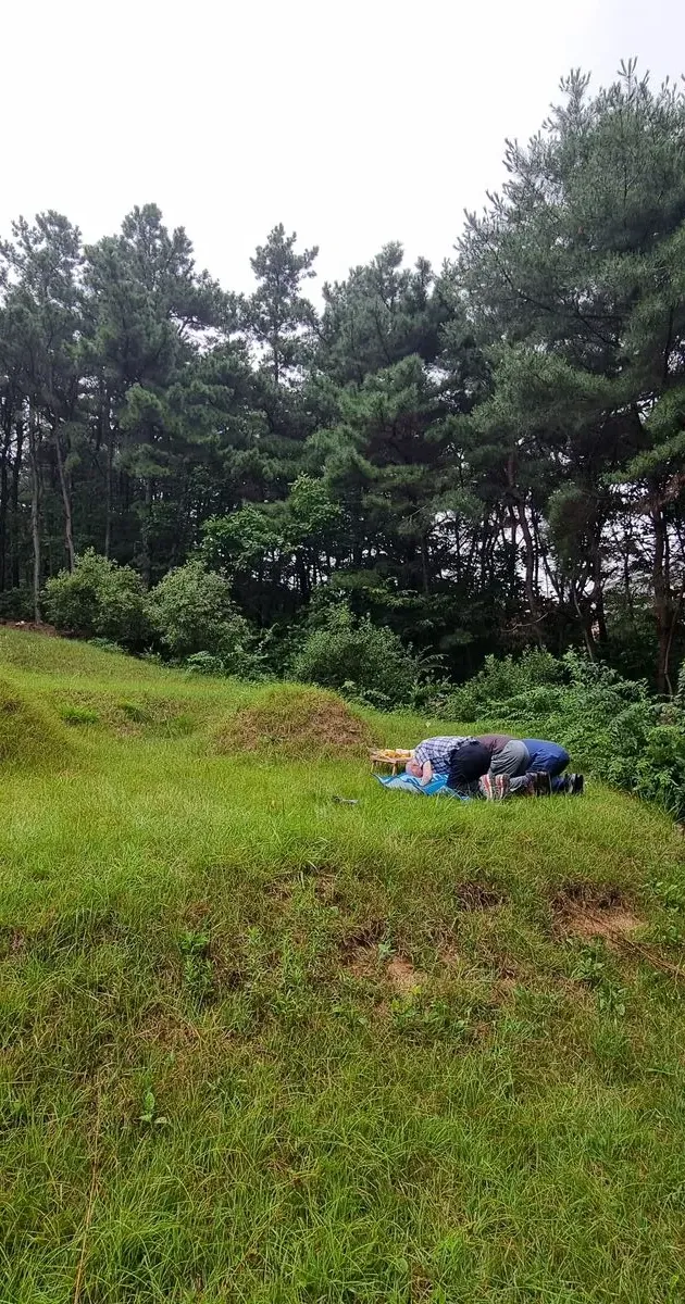 비오는날 양주시 묘지이장 조은장례벌초 숨고 숨은고수