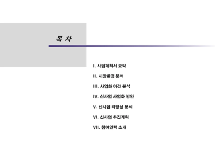사업계획서 예시 이성일 숨고 숨은고수