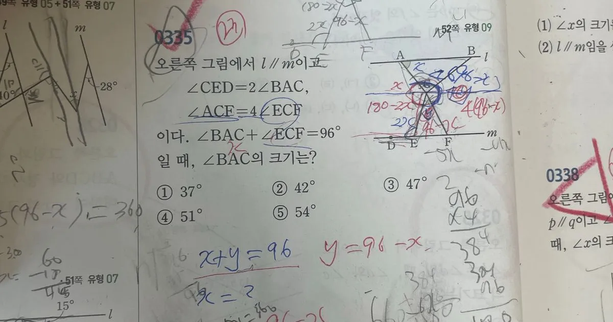 숙제 안 밀리고 할 학생 모집합니다 수학과학과외 숨고 숨은고수