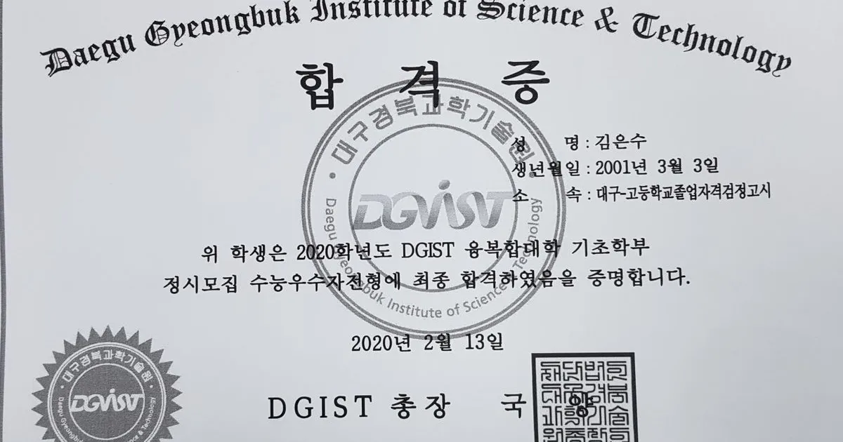 DGIST선생님 과외 / 김은수 - 숨고, 숨은고수