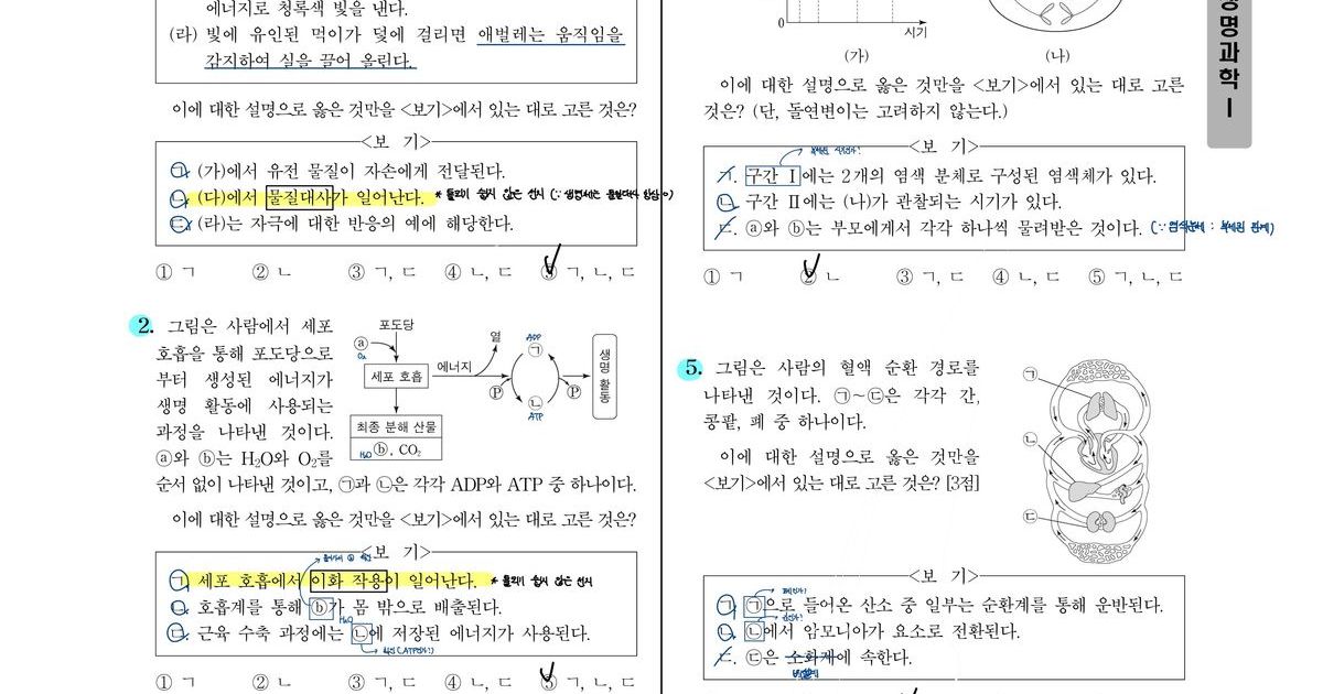 생명과학 기출분석 신유정 숨고 숨은고수