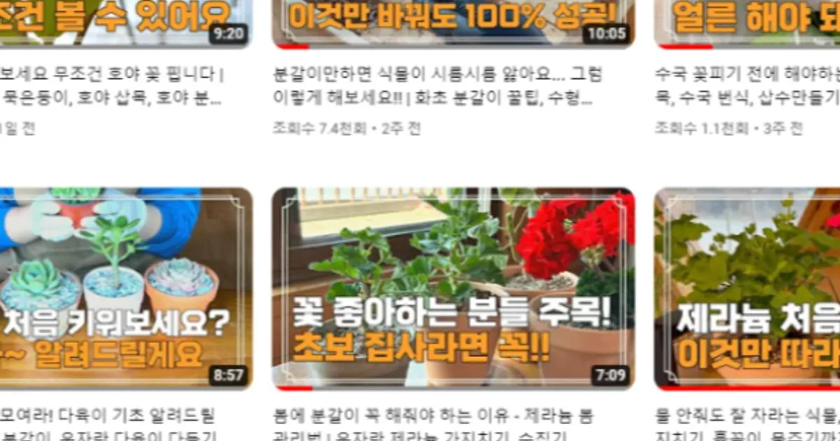식물 유튜버 영상편집 정희지 숨고 숨은고수