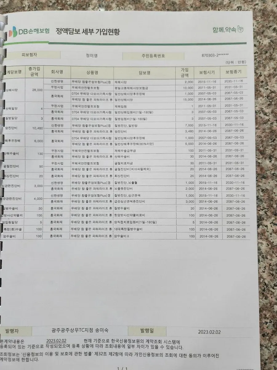 보장분석 서비스 정미영 숨고 숨은고수