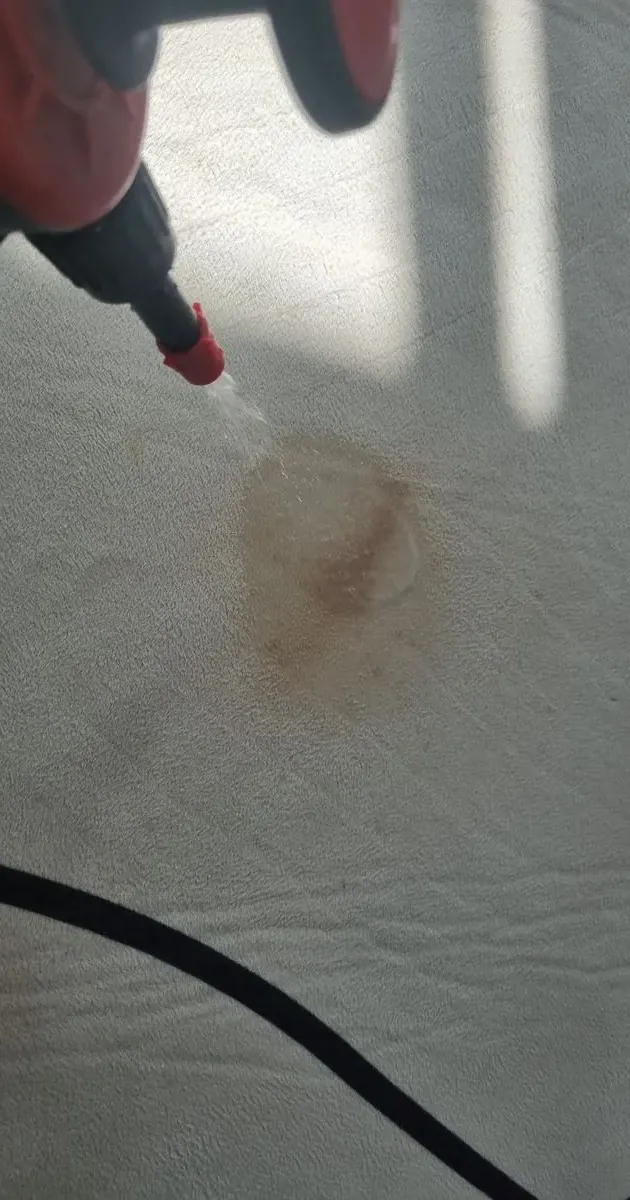 카페트 청소로 분위기 업그레이드 하기 크린터치 숨고 숨은고수
