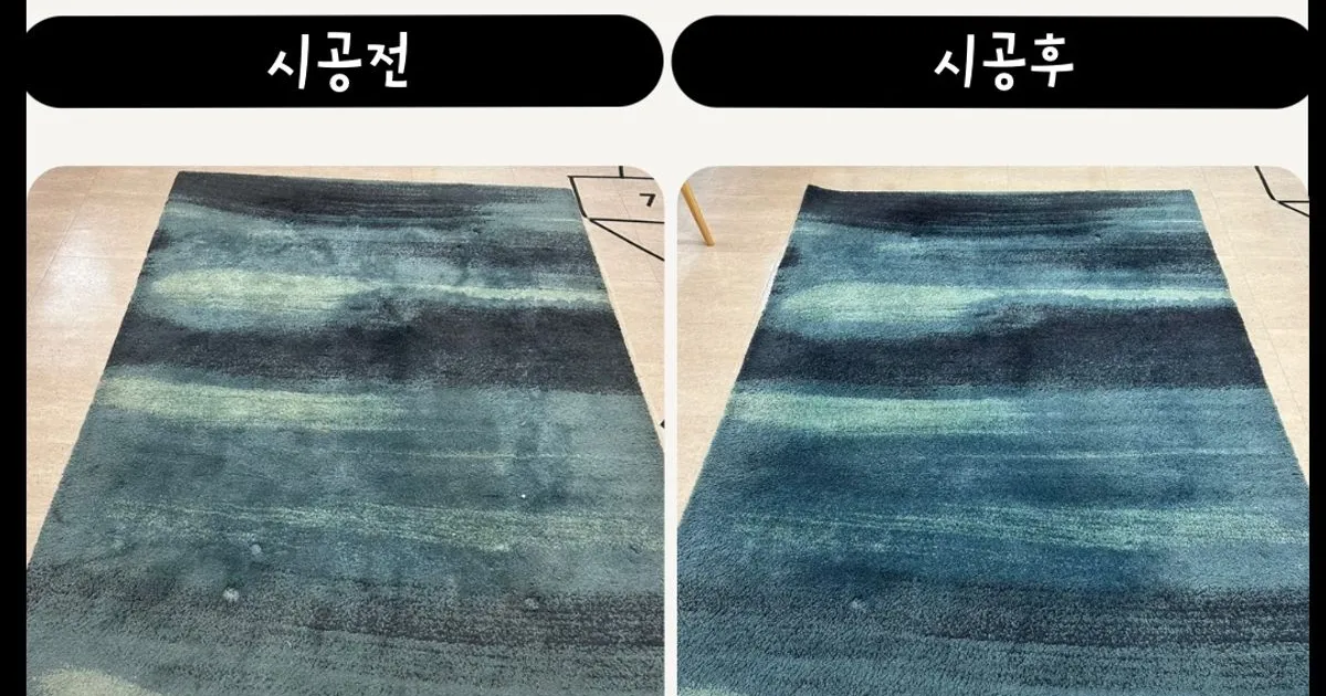 카페트 청소 침대토피아 서울서부점고양점 숨고 숨은고수