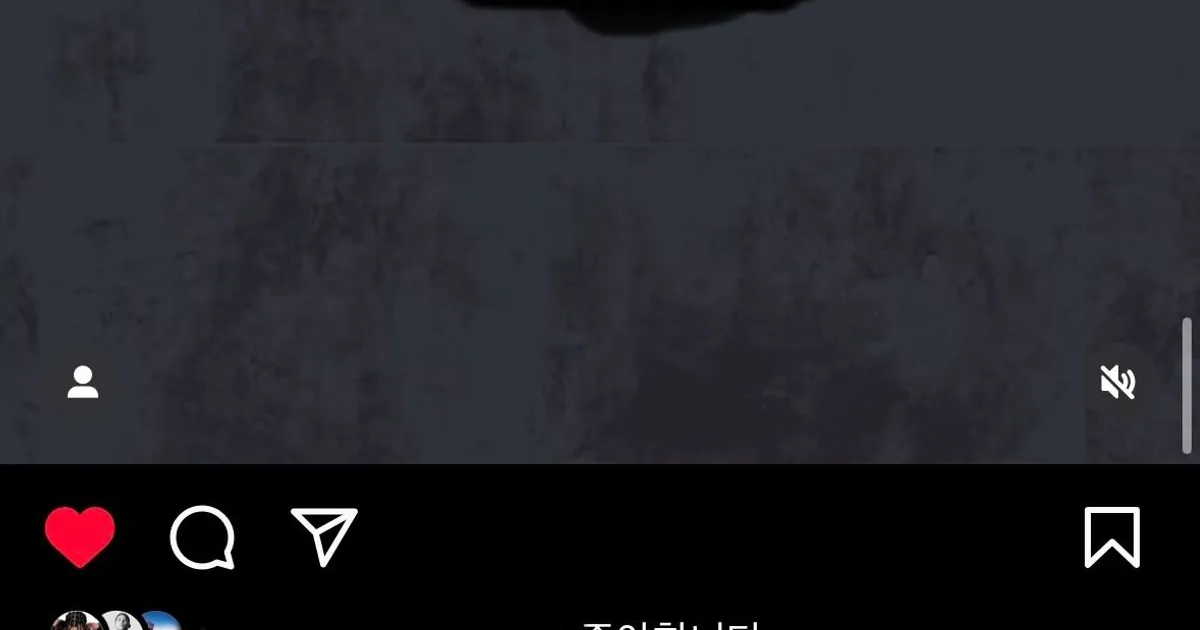 핫루키 랩배틀 시즌3 우승 비니위니 Binnyweeny 숨고 숨은고수