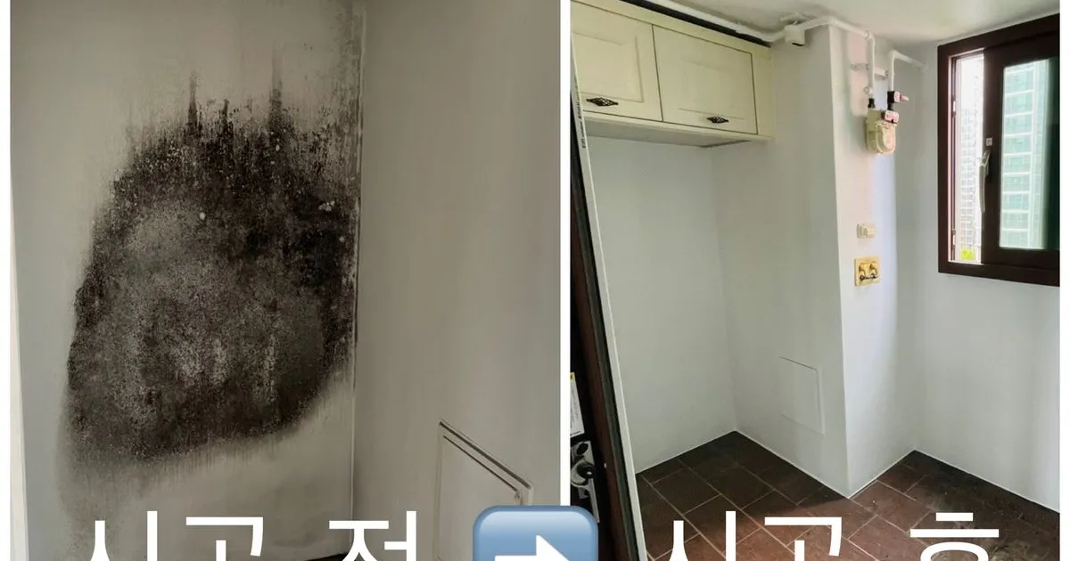 탄성코트 전문 시공업체 파인탄성 파인탄성 숨고 숨은고수
