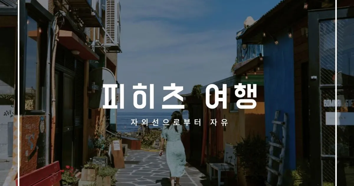 피히츠 여행 컬러담코 숨고 숨은고수