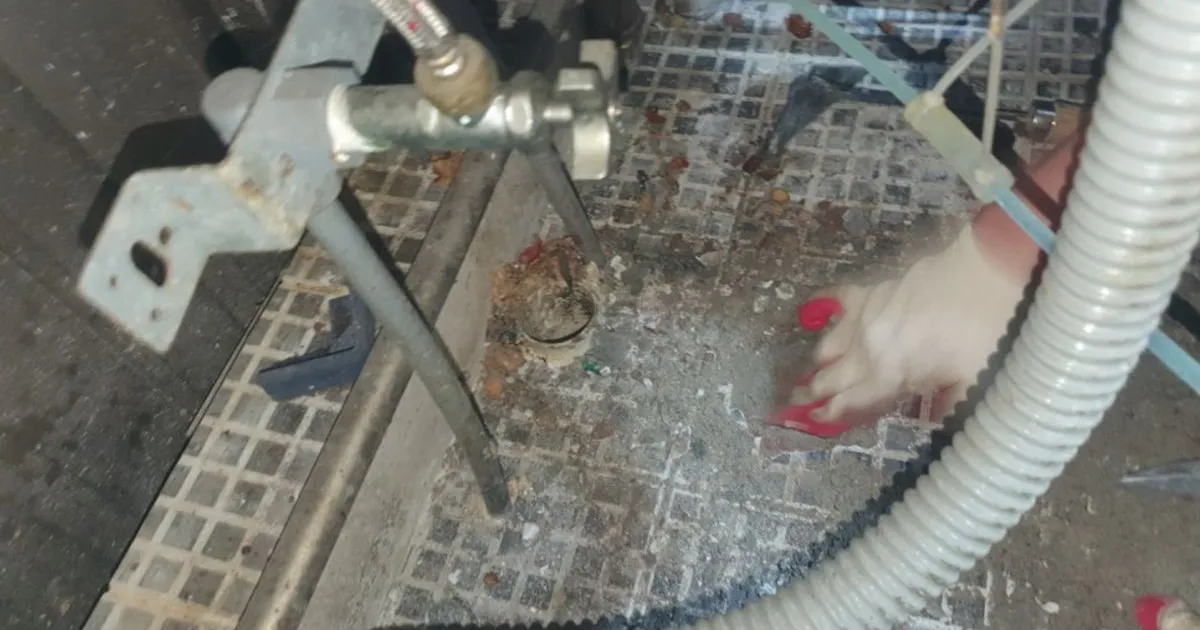 치킨집 기름때와 거름망 제거작업 세이프존 직영점 숨고 숨은고수