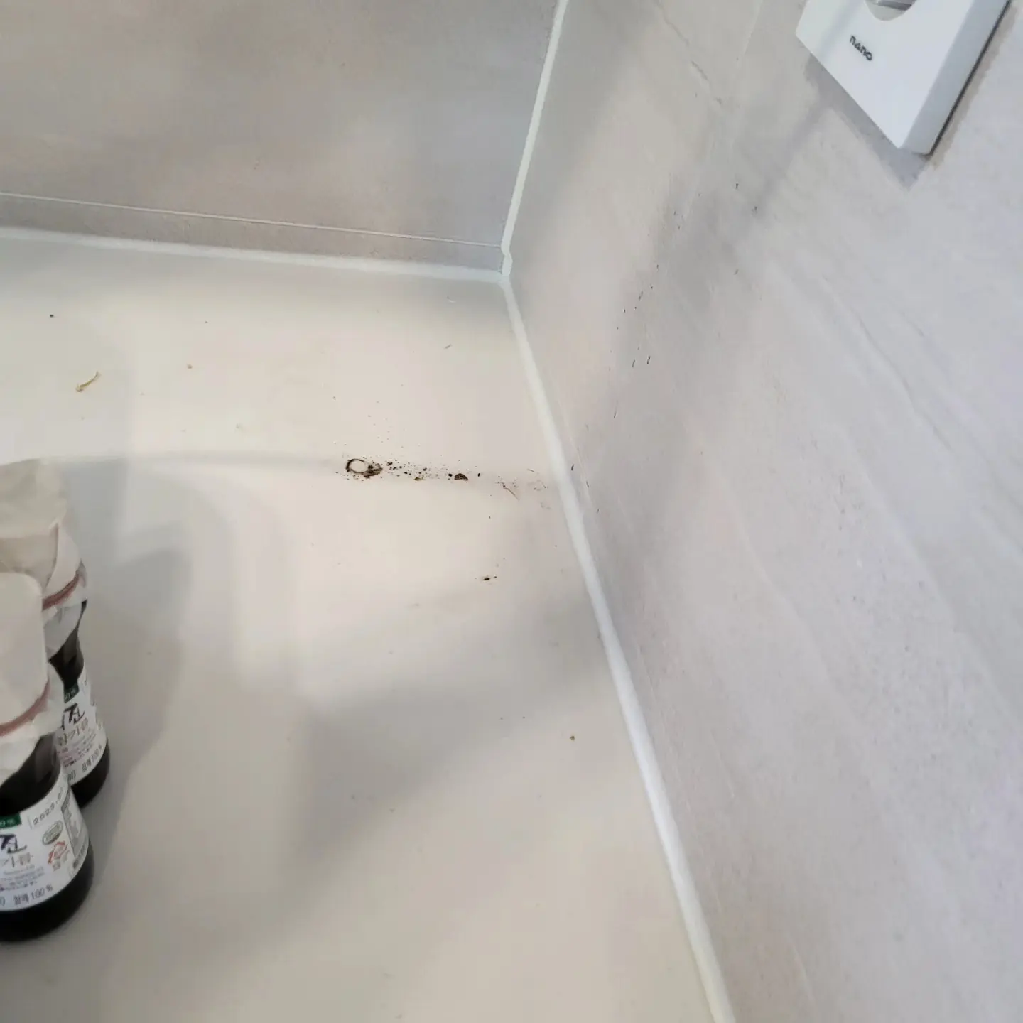 일산 미소줄눈 숨고 숨은고수