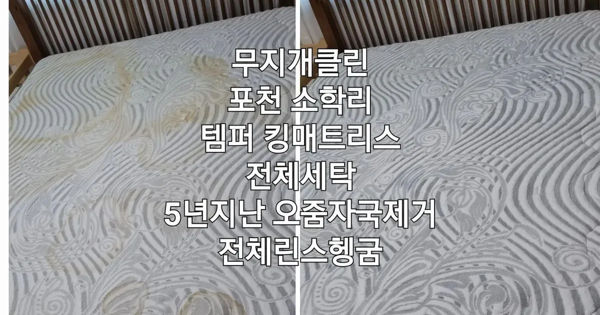 심각한오줌자국 5년지난 오줌자국 And 오염제거 이염 찌든때제거 세제세탁 예소클린 생생정보출연업체 숨고 숨은고수
