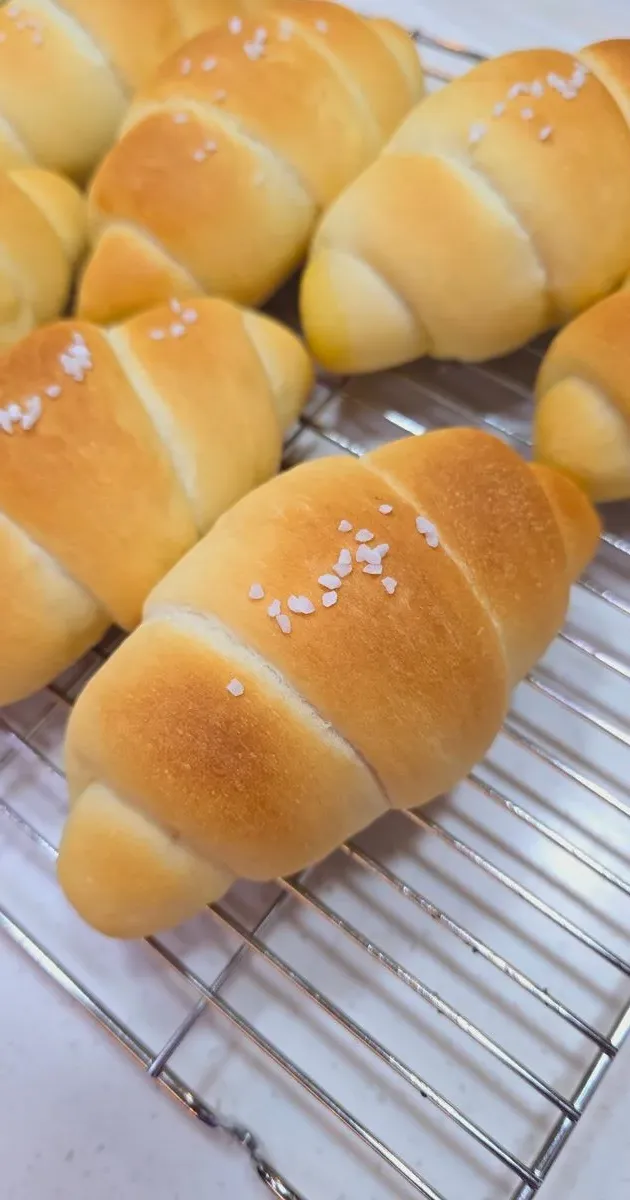 제과제빵 기능사 및 디저트 유선영 숨고 숨은고수