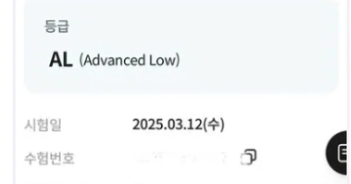 단기 IM2->AL 취득 사례 / Sean from Aramco, Saudi - 숨고, 숨은고수