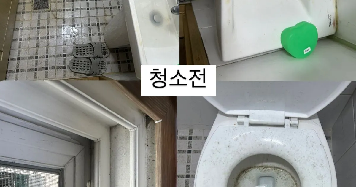 화장실 거주 청소 로얄 빗자루 숨고 숨은고수