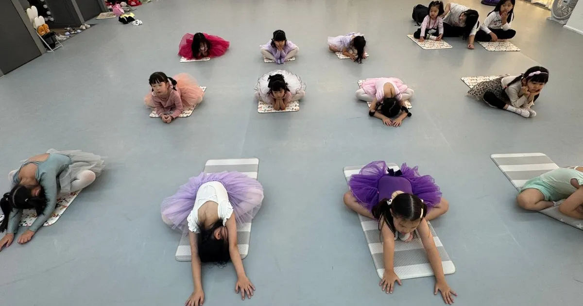 다양한 지도경력 레인무용 숨고 숨은고수