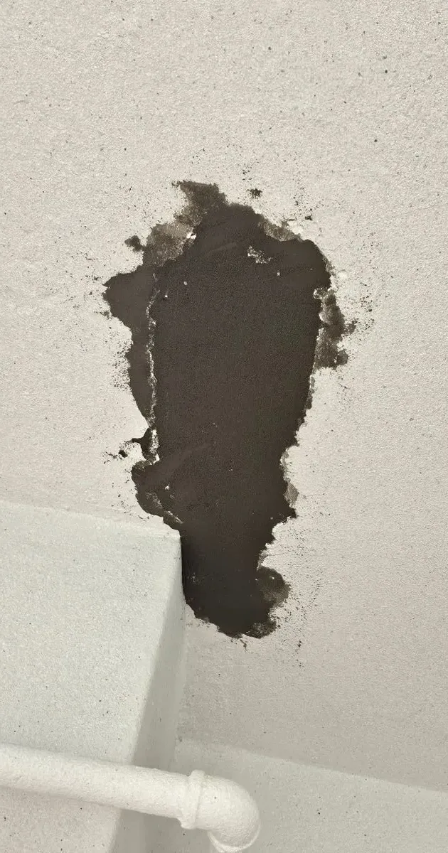 부산 누수로 인한 탄성시공 오로라줄눈탄성 숨고 숨은고수