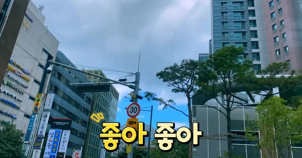 모션그래픽편집자막 썬과함께 숨고 숨은고수