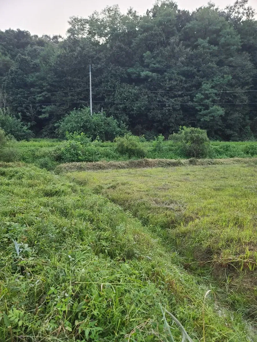 경기여주 1000평제초작업 명화조경인천안성구리 사무소 숨고 숨은고수