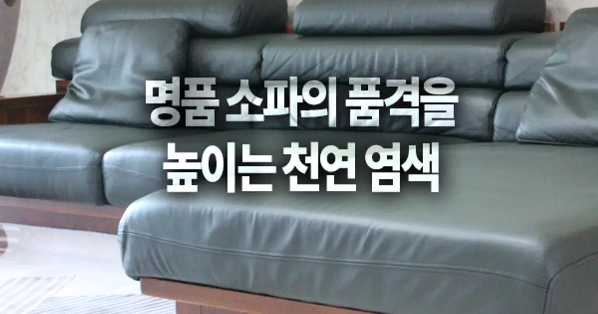 이태리 도이모살로티 소파 색상 변경 천연염색 임광수리폼위즈 숨고 숨은고수