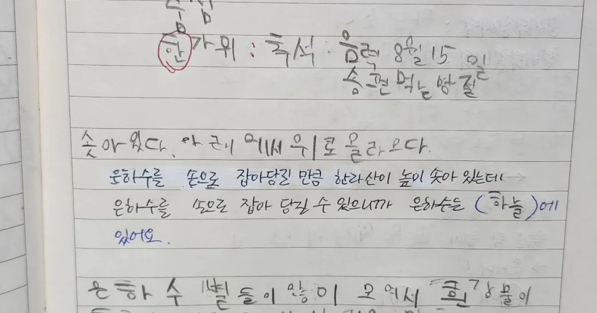 마인드맵 비주얼씽킹 독서감상문쓰기일일계획표 백혜원 숨고 숨은고수