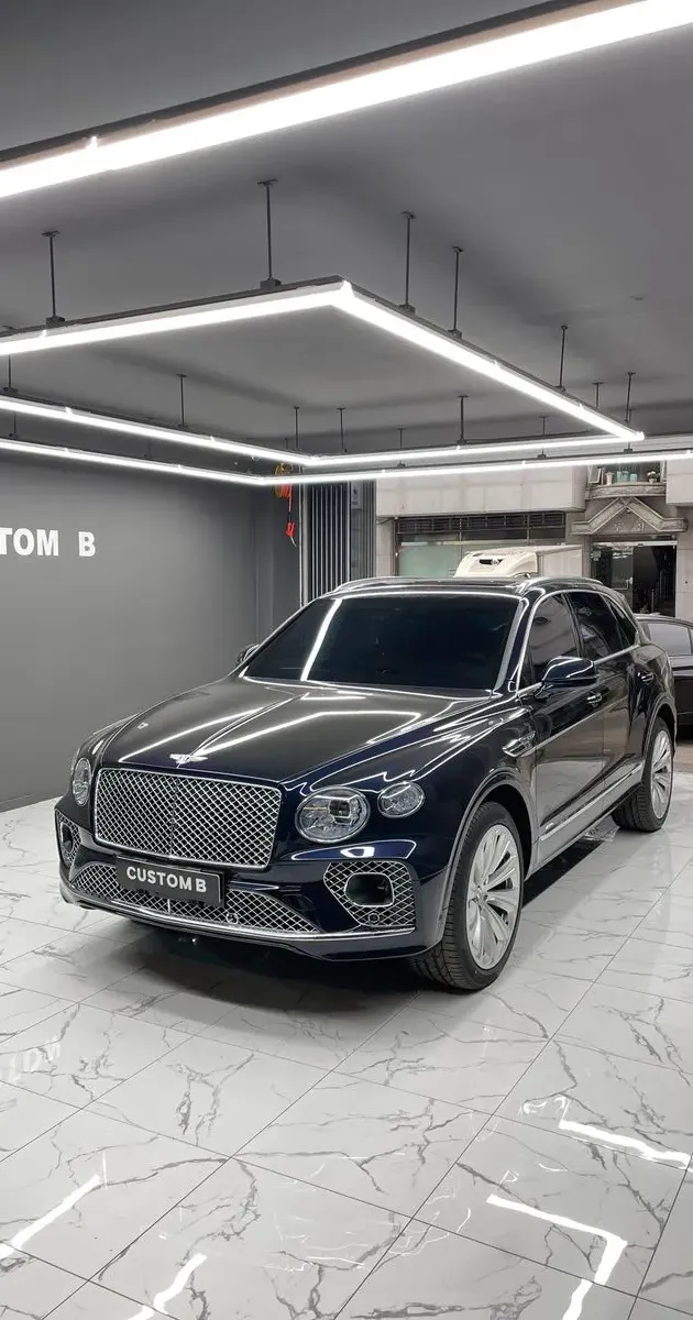 벤테이가 전체ppf Custom B 커스텀 비 숨고 숨은고수
