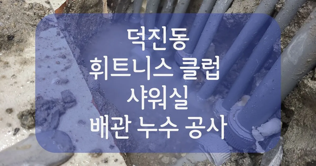 덕진동 휘트니스클럽 샤워실 배관 누수 공사 박종부 숨고 숨은고수