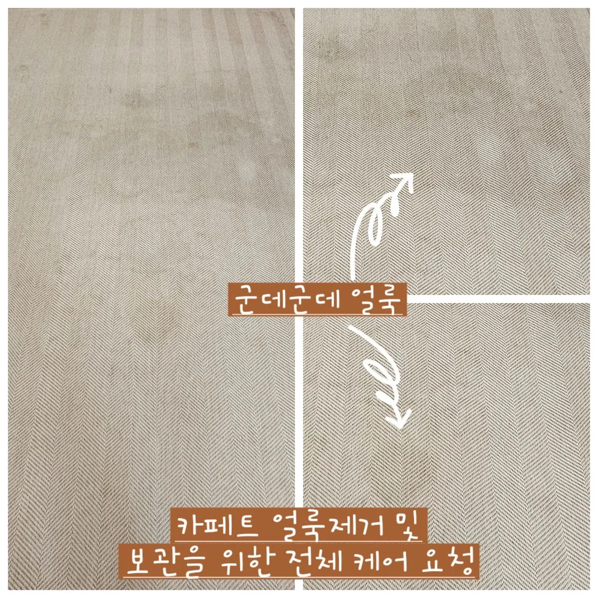 수유동 단독주택 카페트케어 클린신 비치움 숨고 숨은고수