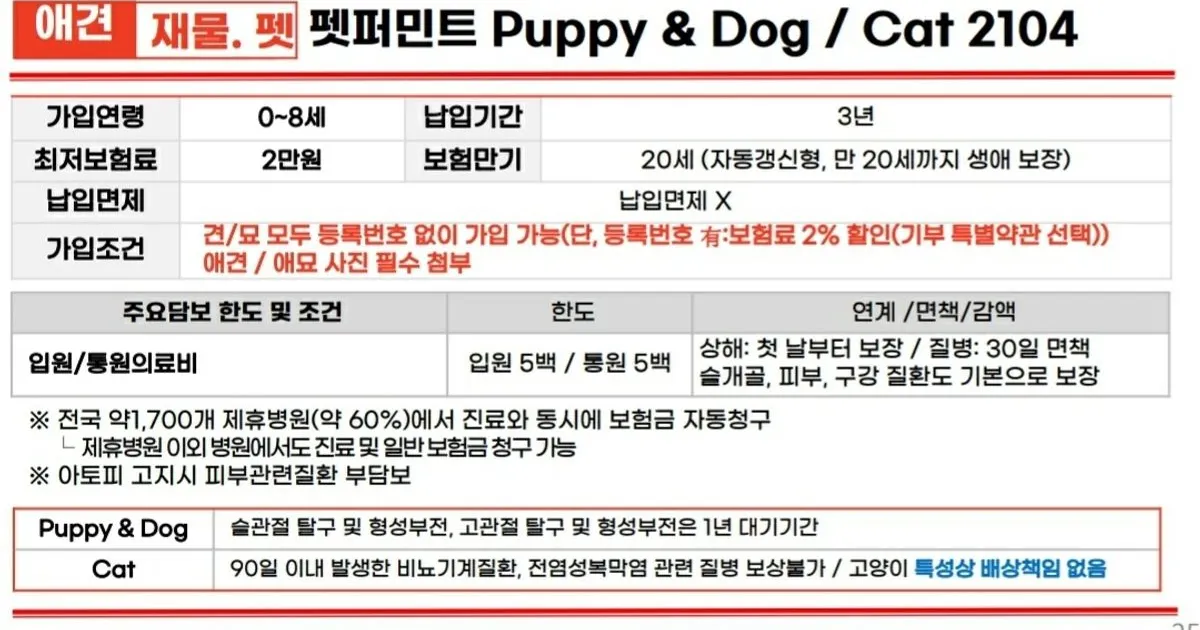 전문 컨설턴트 보험전문가 정신섭 숨고 숨은고수