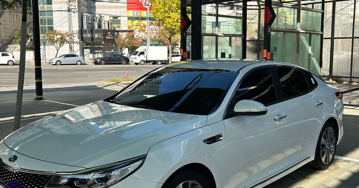 세차 뽀득뽀득 숨고 숨은고수