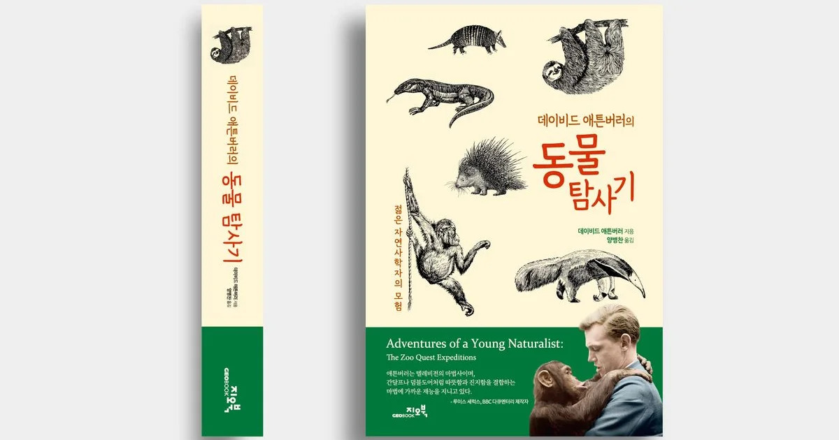감각적인 책디자인 파인더스d 숨고 숨은고수