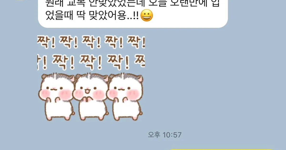 다이어트 성공기🔥 김채린 숨고 숨은고수