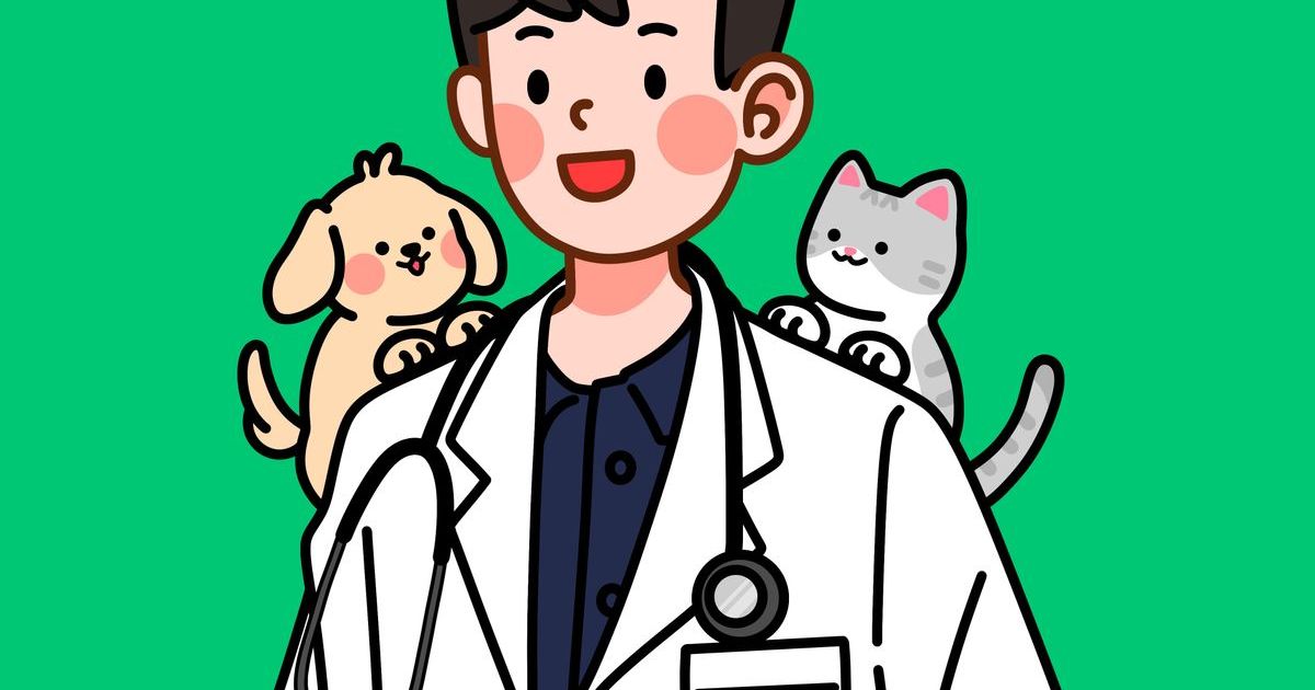 선 일러스트 박소연 숨고 숨은고수