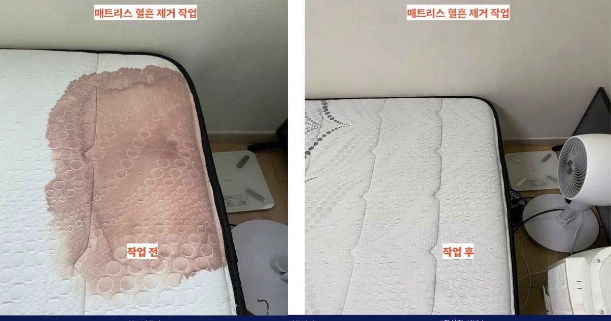 매트리스 혈흔제거 피 얼룩 제거 김장환비치움 안양점 숨고 숨은고수