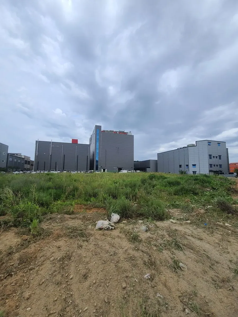 검단 2천평대지 가장자리300평 제초제 작업 명화조경인천안성구리 사무소 숨고 숨은고수