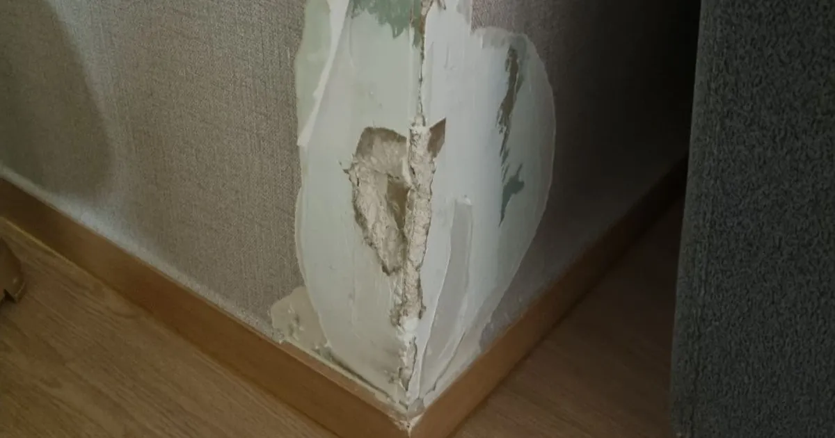 거실 벽면 석고 파손 보수 및 실크 도배 신윤선 숨고 숨은고수