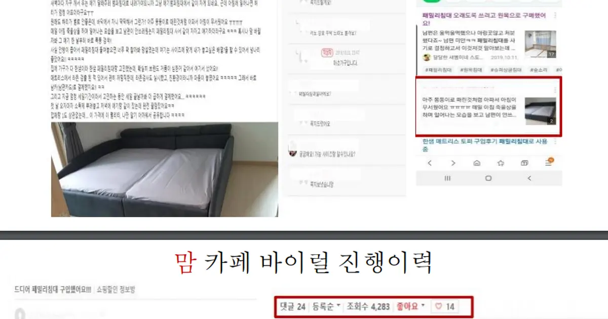 맘카페 바이럴 전문바이럴마케터 숨고 숨은고수