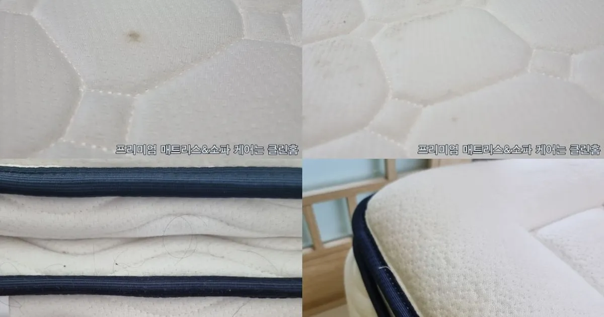 곰팡이가 핀 침대청소 완벽하게 제거했어요 클린홈마이침대and소파 숨고 숨은고수