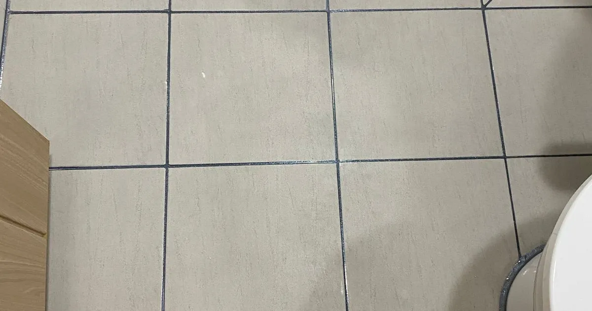 석적 효성해링턴 줄눈시공 칠대장줄눈탄성 숨고 숨은고수