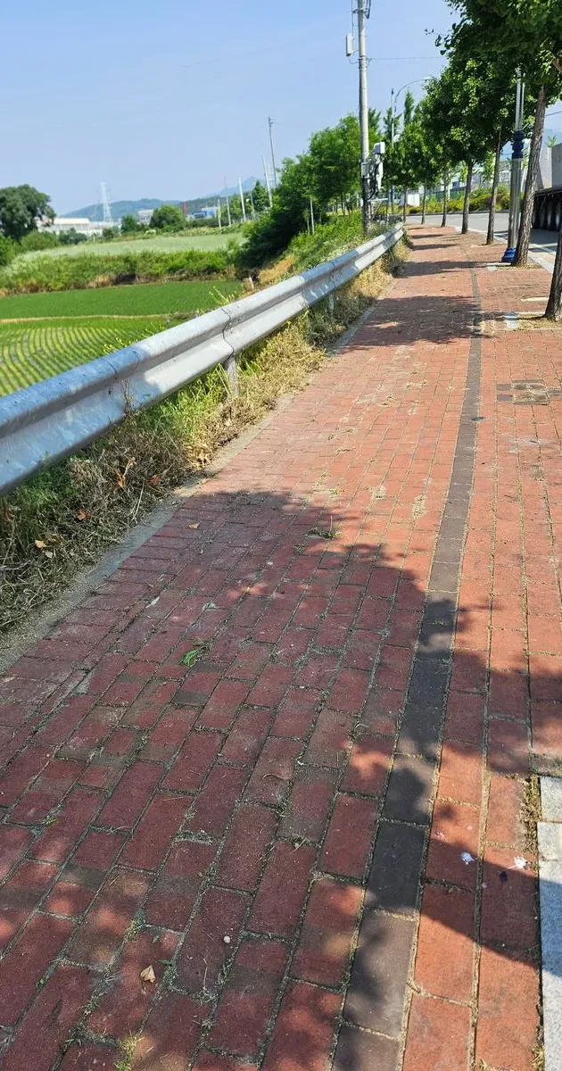 인도 제초 작업 김재훈 숨고 숨은고수
