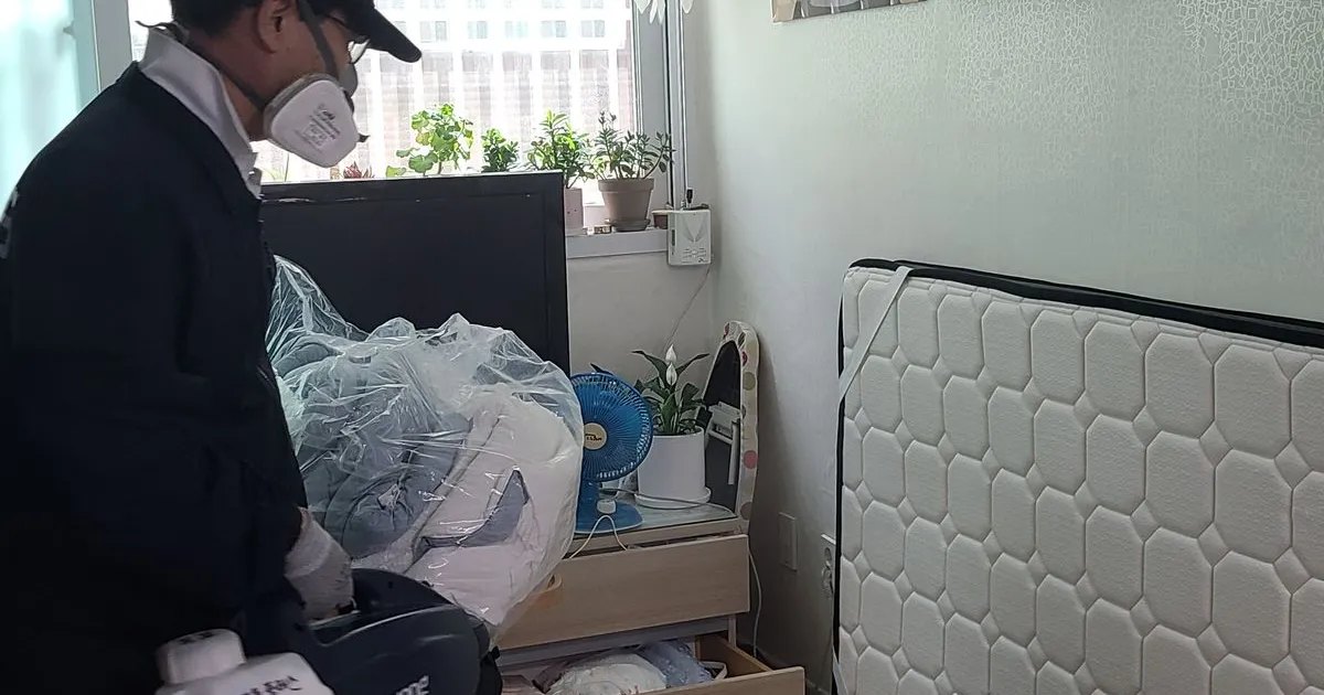 해충방제 진드기 퇴치 작업 그린f5 영통 소독방역 해충방제새집증후군 숨고 숨은고수