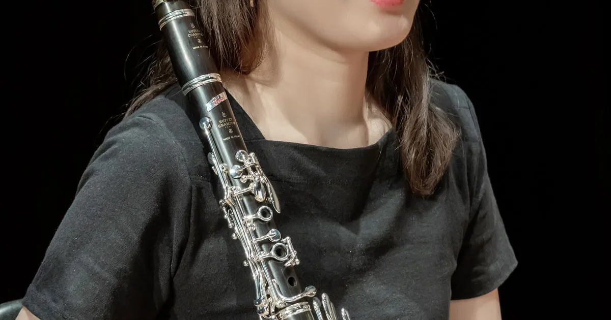 클라리넷 전문레슨 기초부터탄탄히 이수민 숨고 숨은고수