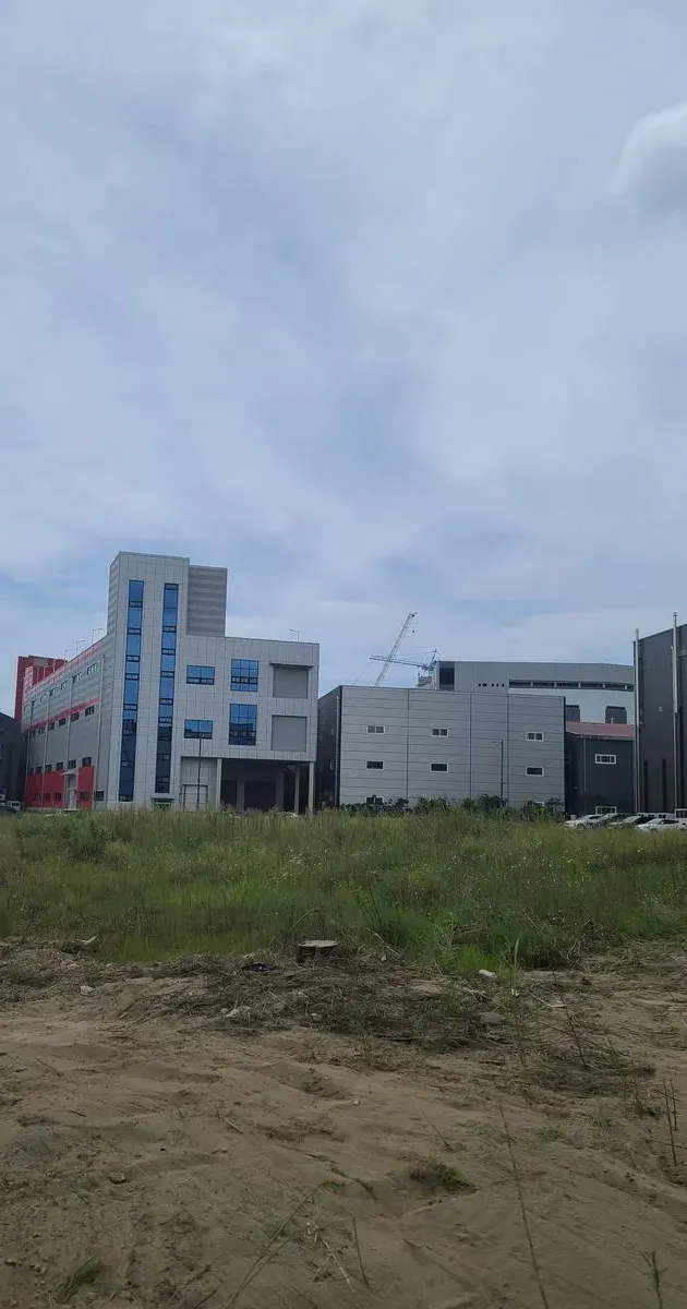검단 2천평대지 가장자리300평 제초제 작업 명화조경인천안성구리 사무소 숨고 숨은고수